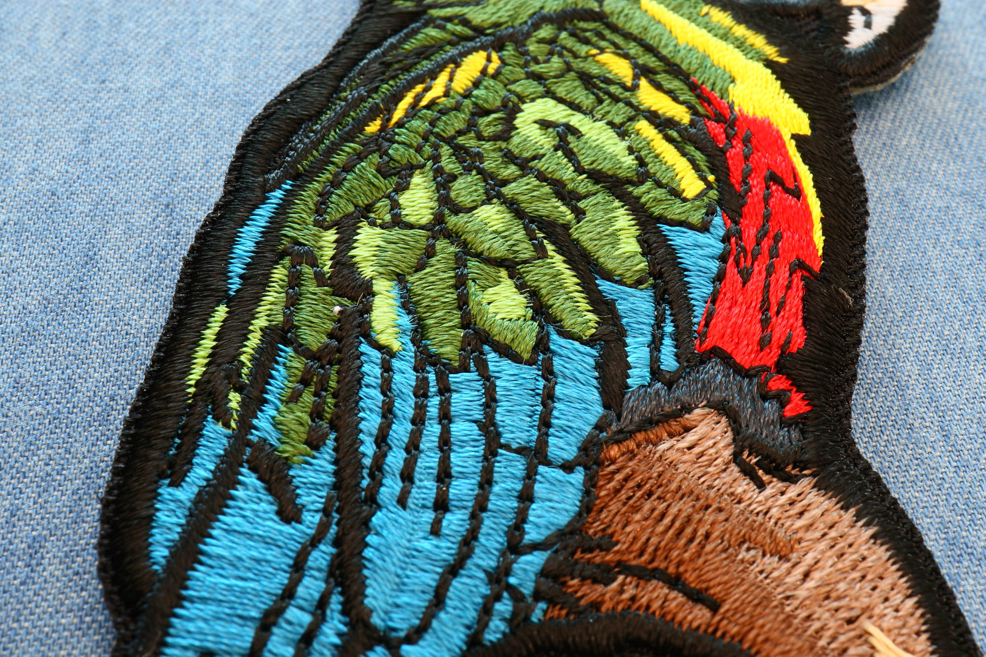 Parrot Patch by Ivamis Patches
