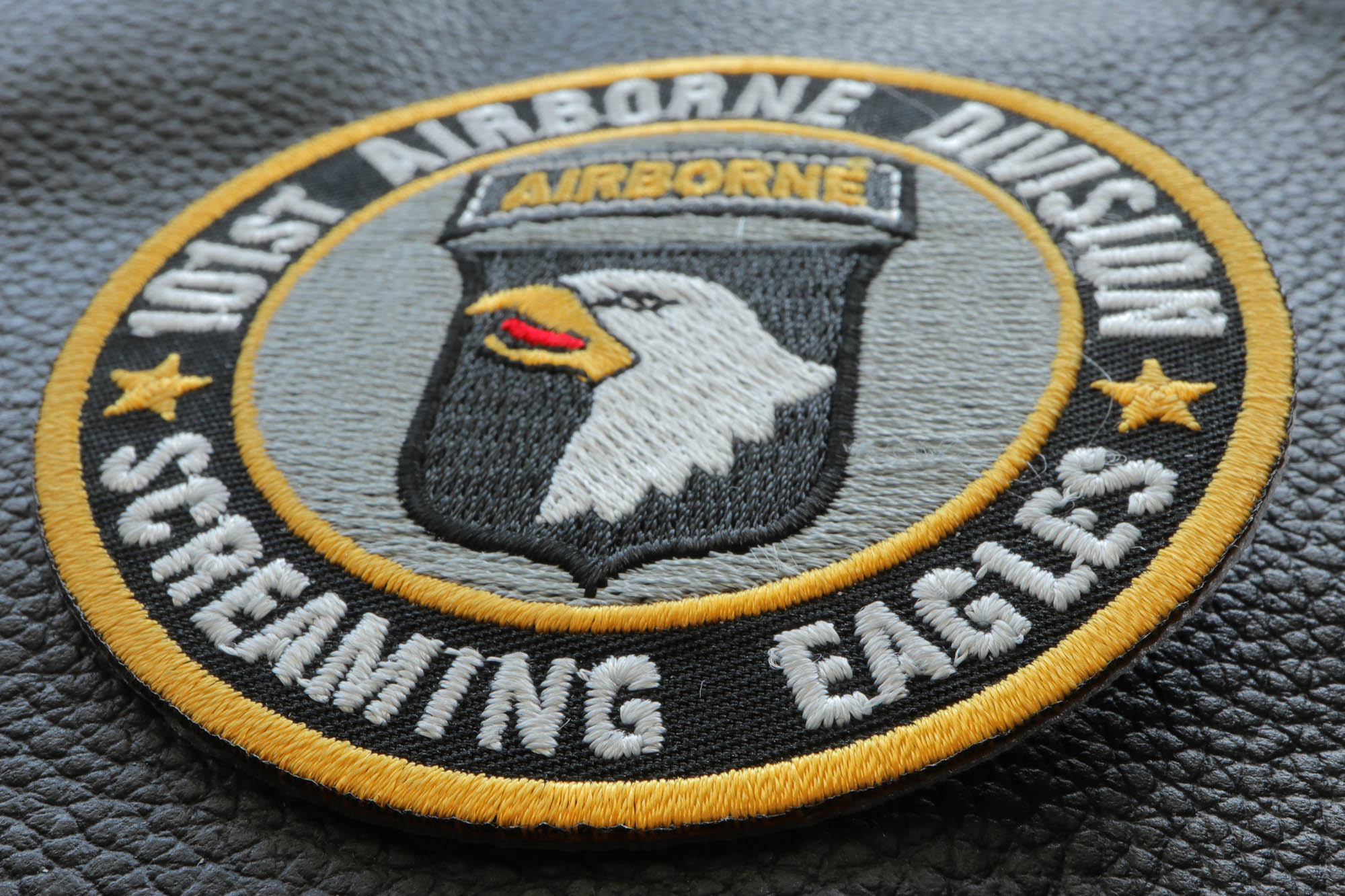101st Airborne Division Patch Screaming Eagles by Ivamis Patches