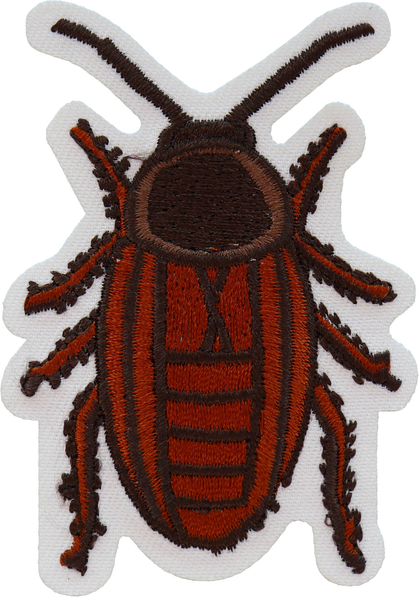 Cockroach Iron on Patch by Ivamis Patches