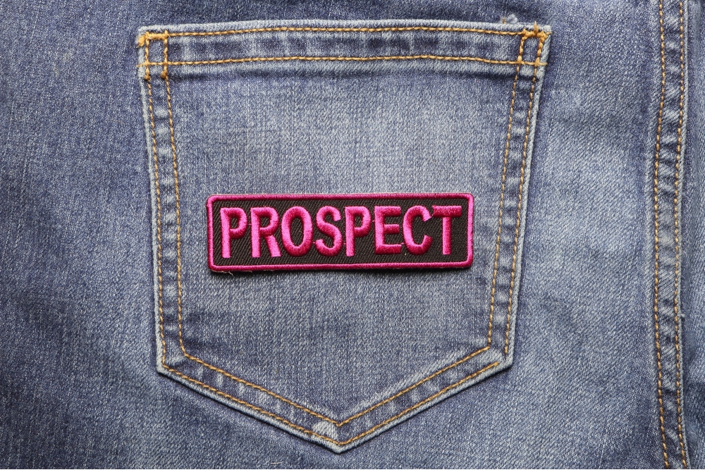 Prospect Patch 3.5 Inch Pink
